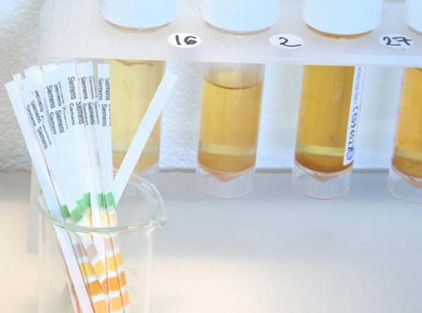urine drug testing | Integrity Sampling